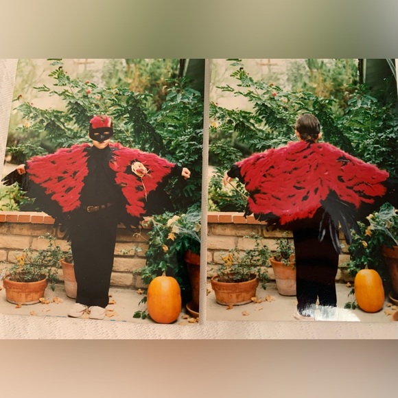 Costumes | Bird Halloween Costume Cape | Poshmark